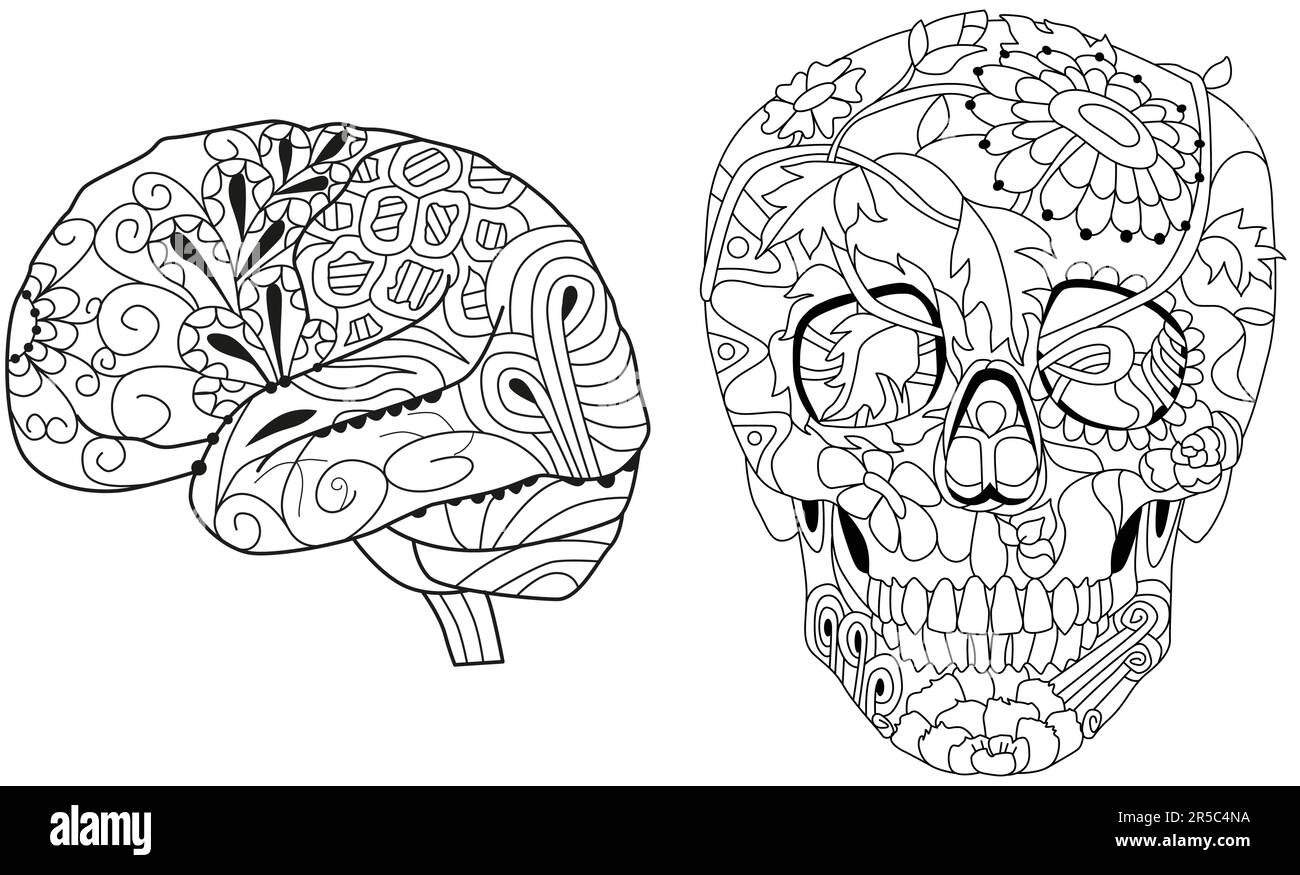 Brain and skull with floral ornament illustration for coloring Stock ...