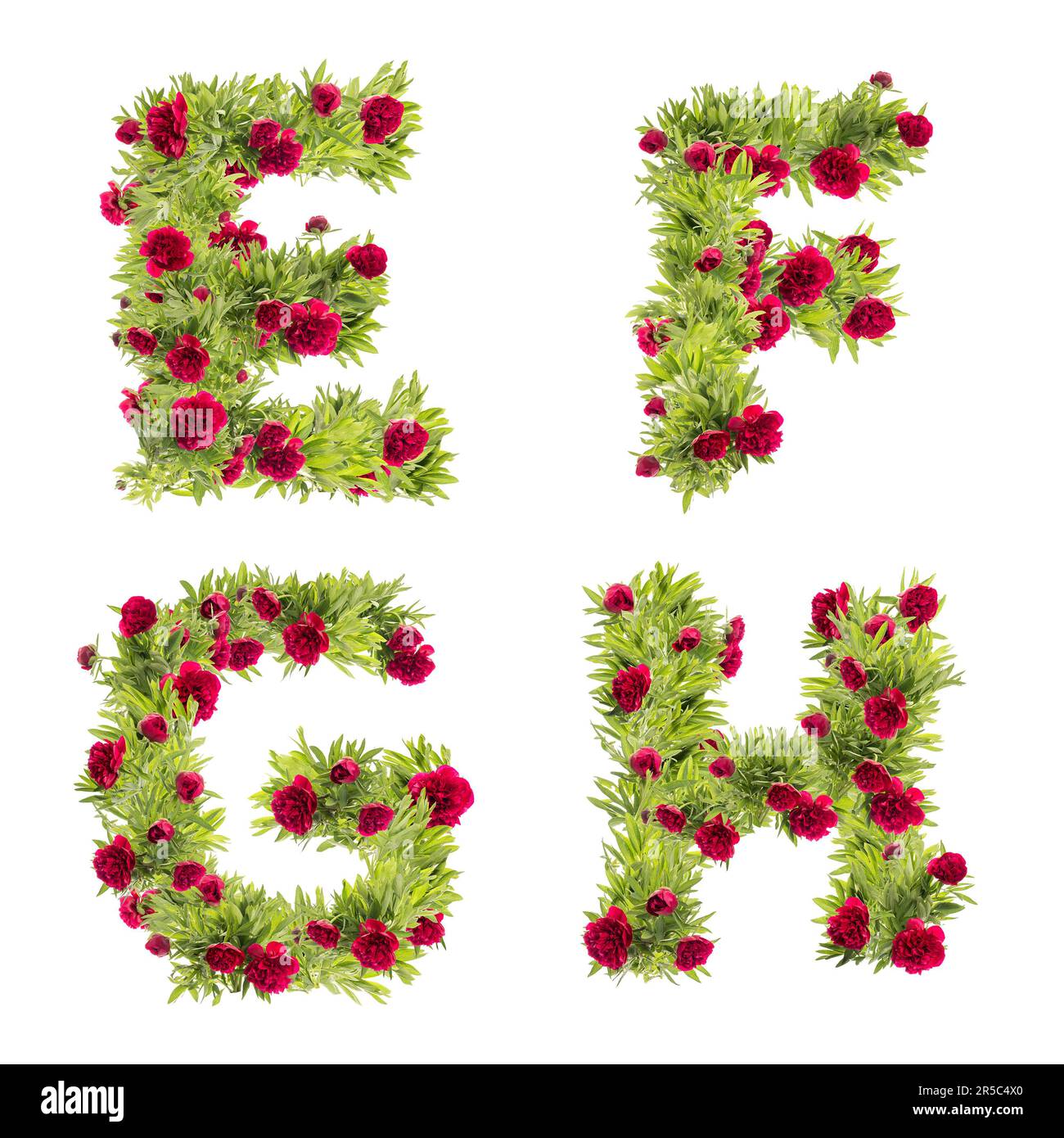 3D illustration of Peony flowers capital letter alphabet - letters E-H ...