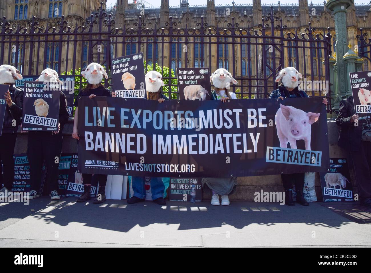 Cruelty to animals bill hi-res stock photography and images - Alamy