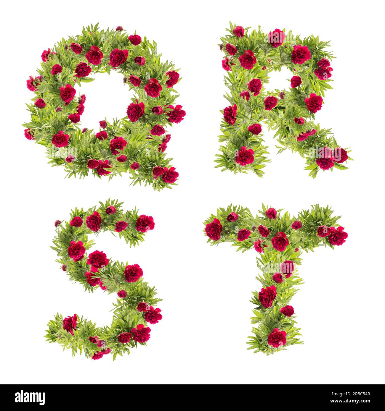 3D illustration of Peony flowers capital letter alphabet - letters Q-T ...