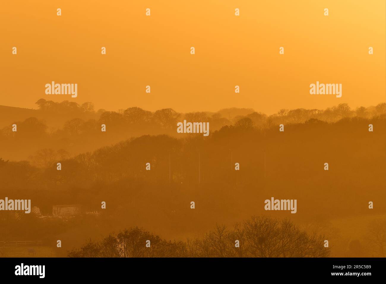 Evening backdrop of trees hi-res stock photography and images - Alamy