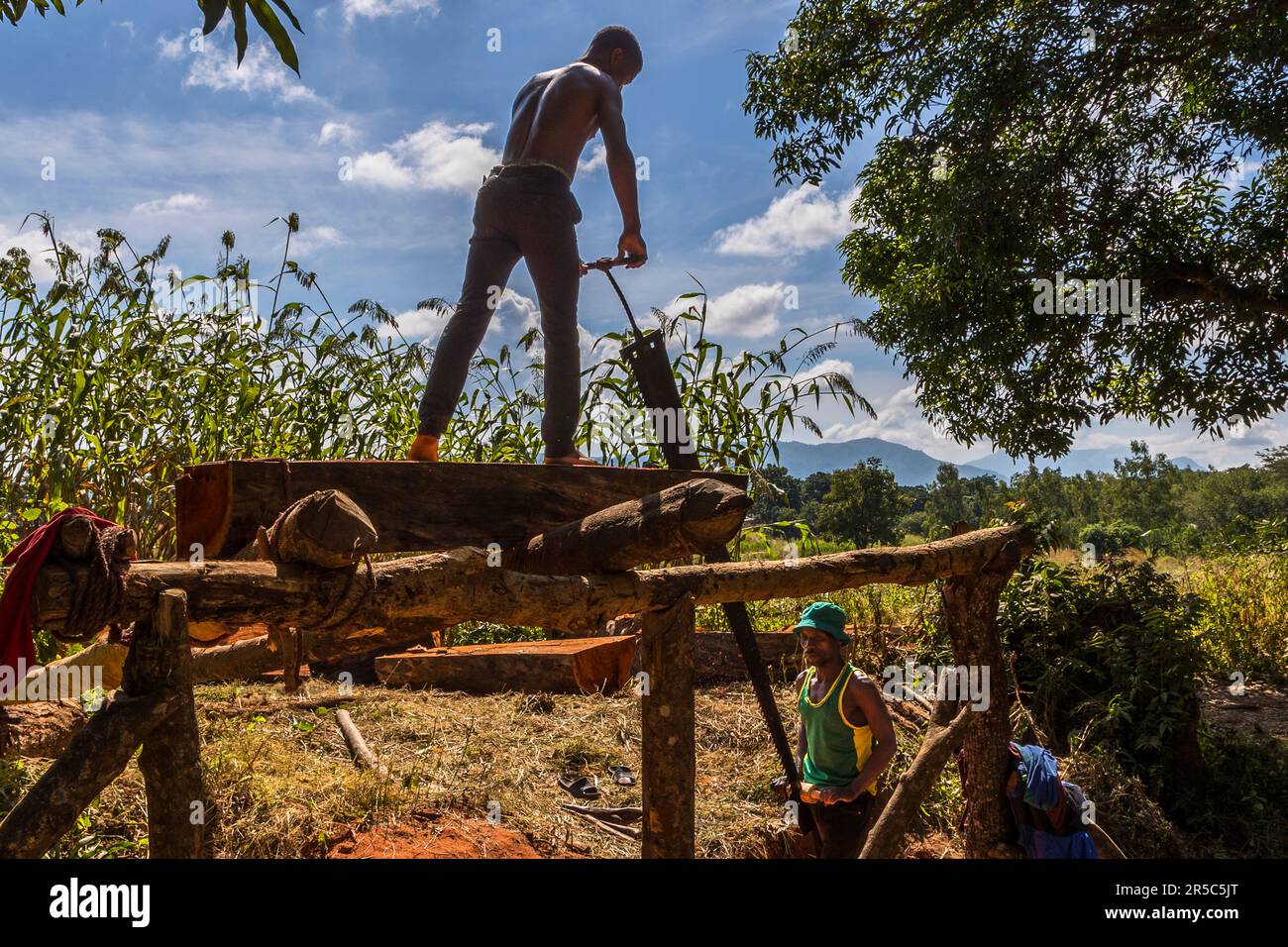 There is no sawmill in Malawi. Everywhere boards are sawn by hand like ...