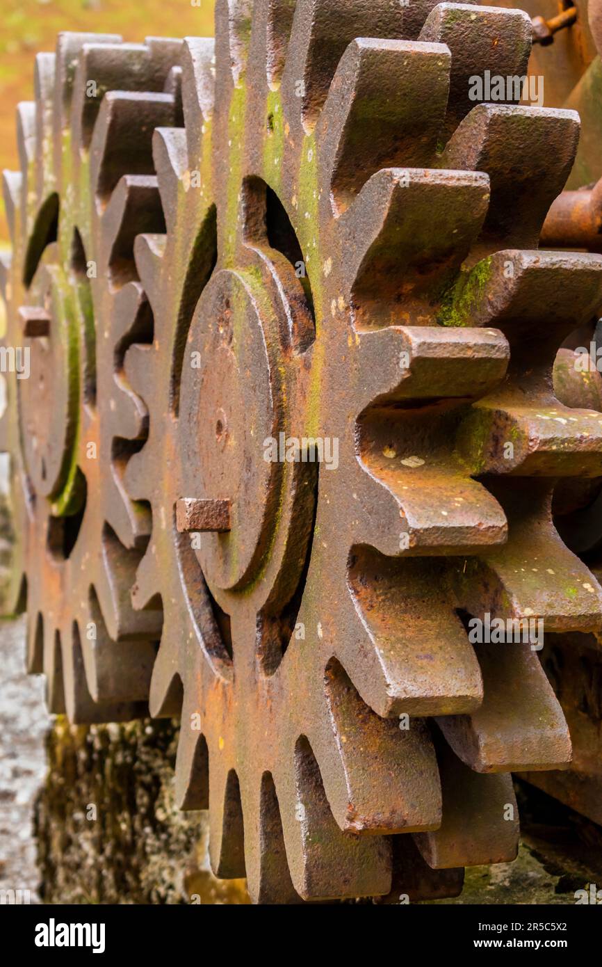 An image of a person in a seated position, with a rusted gear wheel on ...
