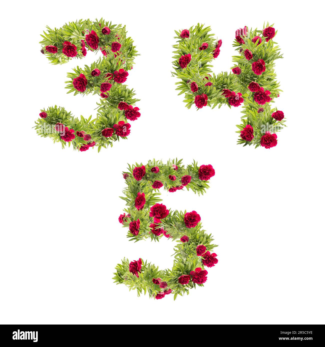 3D illustration of Peony flowers capital letter alphabet - digits 3-5 ...