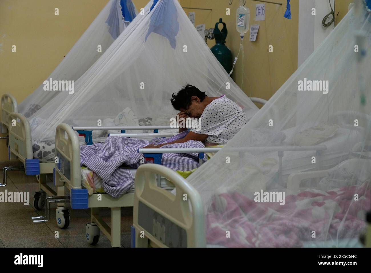 Patients suffering dengue lay in beds at the Jorge Reategui hospital in ...