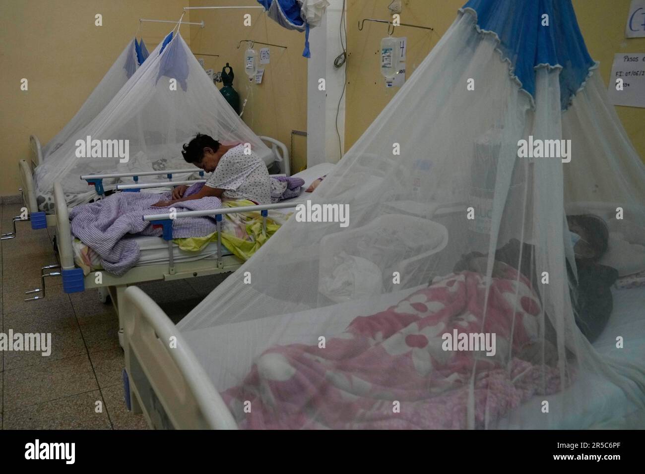 Patients suffering dengue lie in beds at the Jorge Reategui hospital in ...