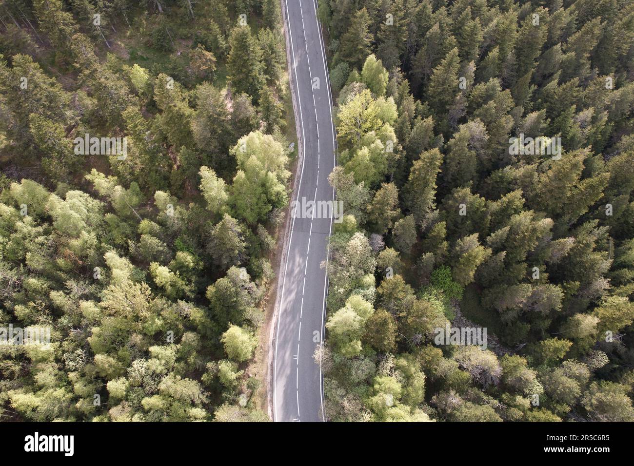 An aerial view of an asphalt highway cutting through a dense forest of ...