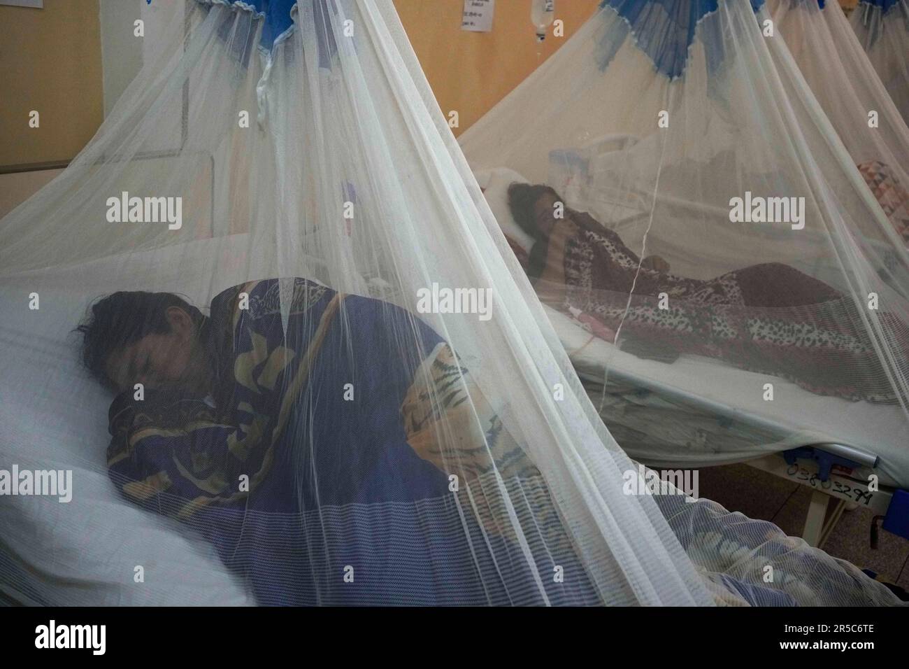 Patients suffering dengue lie in beds at the Jorge Reategui hospital in ...