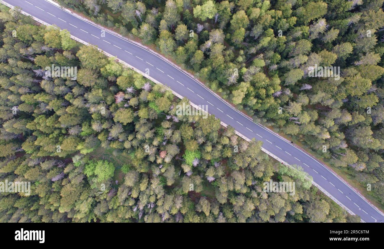 An aerial view of an asphalt highway cutting through a dense forest of ...