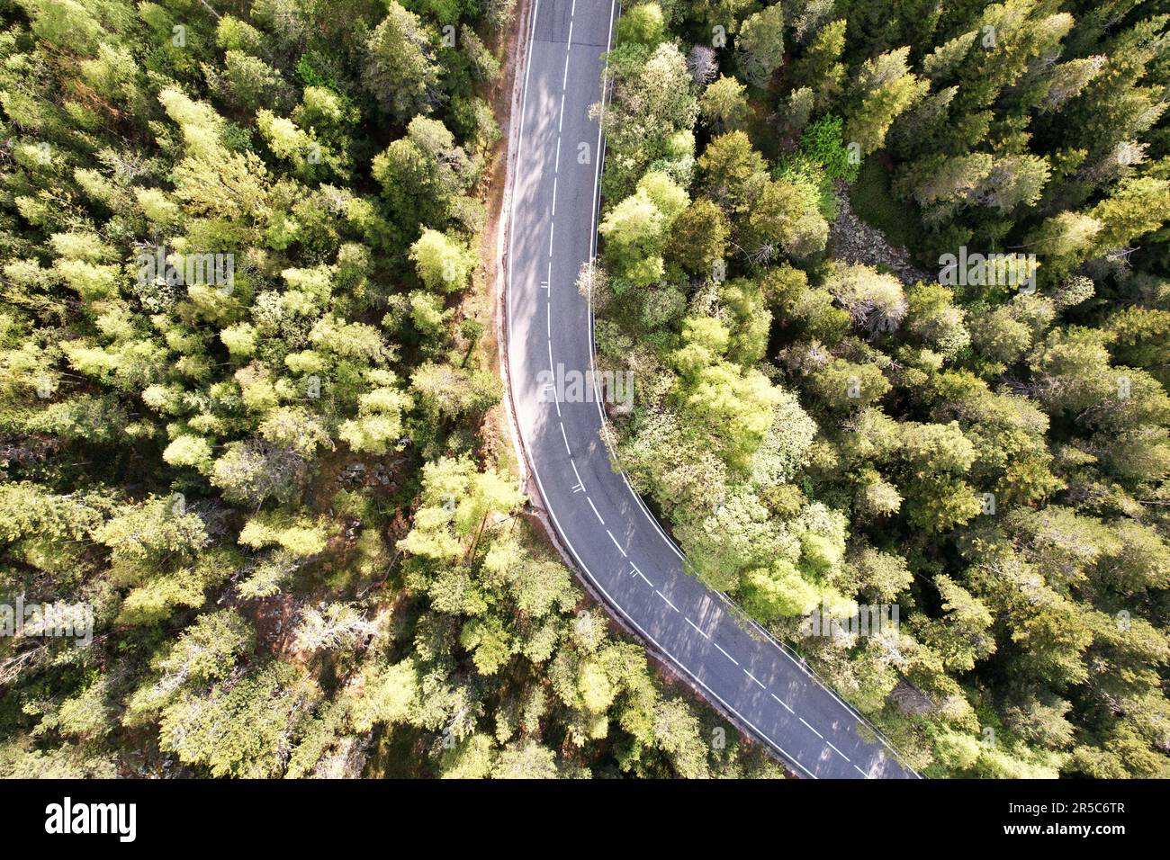 An aerial view of an asphalt highway cutting through a dense forest of ...