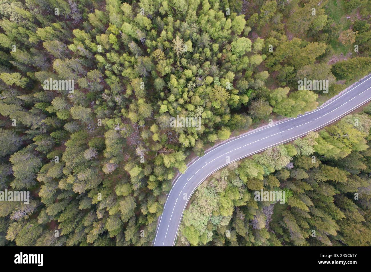 An aerial view of an asphalt highway cutting through a dense forest of ...