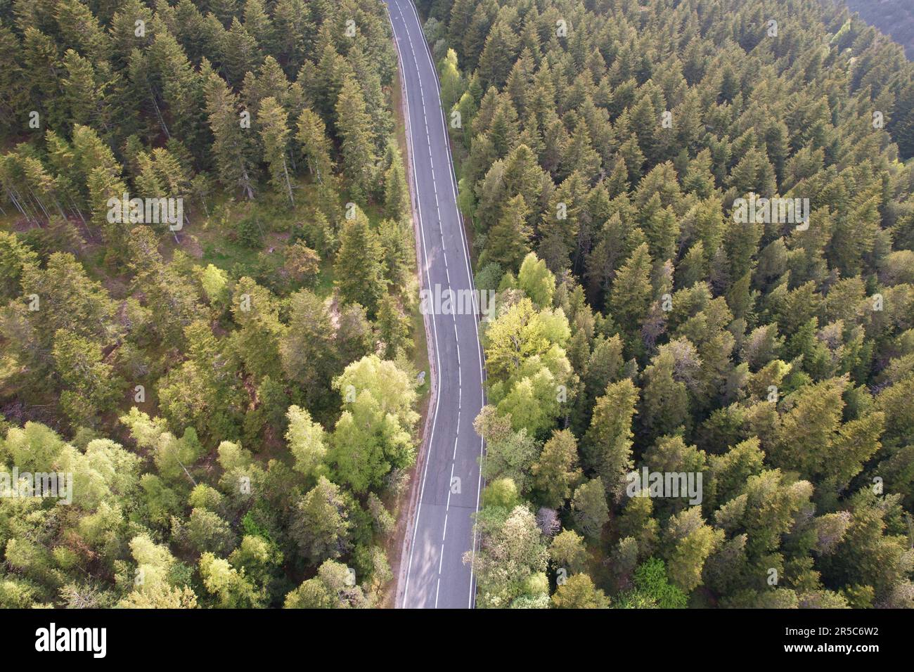 An aerial view of an asphalt highway cutting through a dense forest of ...