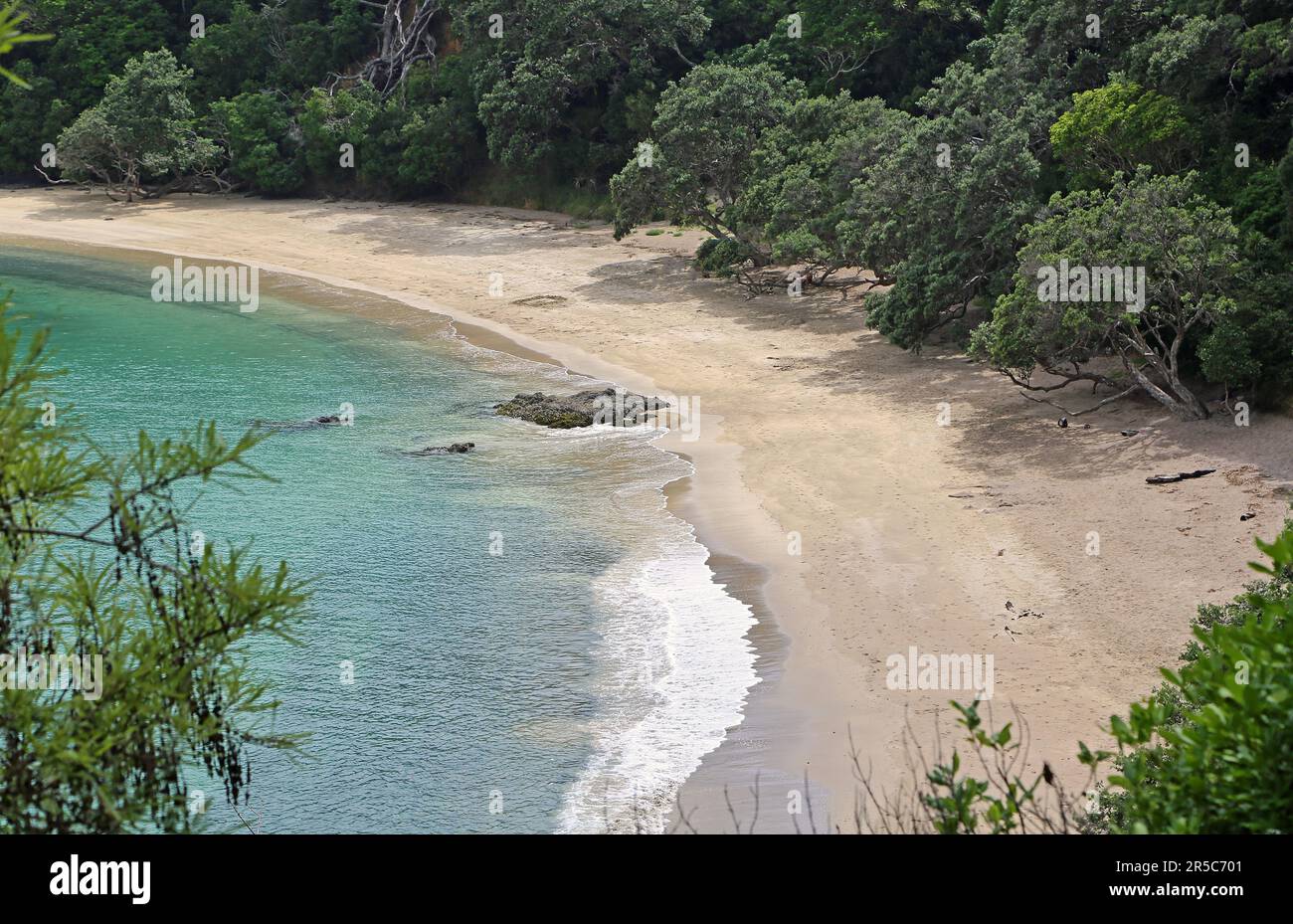 Whale bay - New Zealand Stock Photo - Alamy