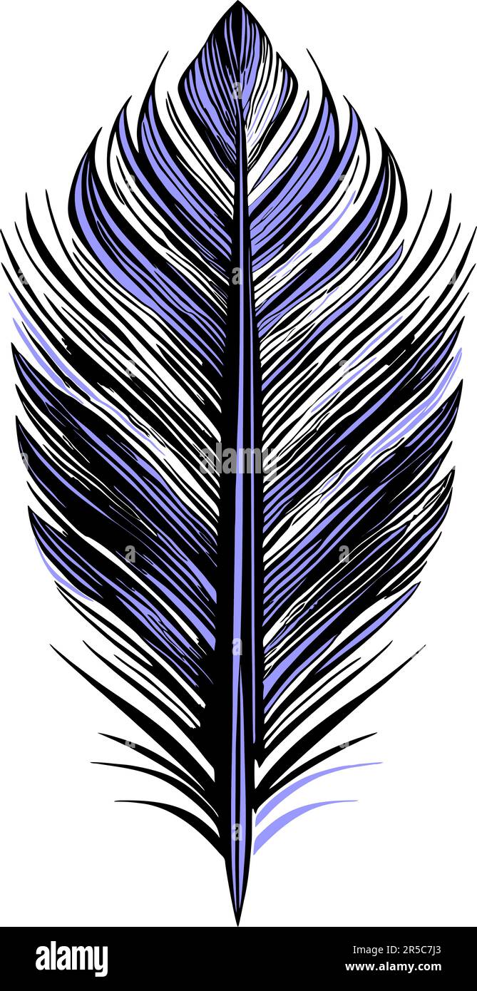 simple graphic drawing black and blue bird feather, sketch, logo Stock ...