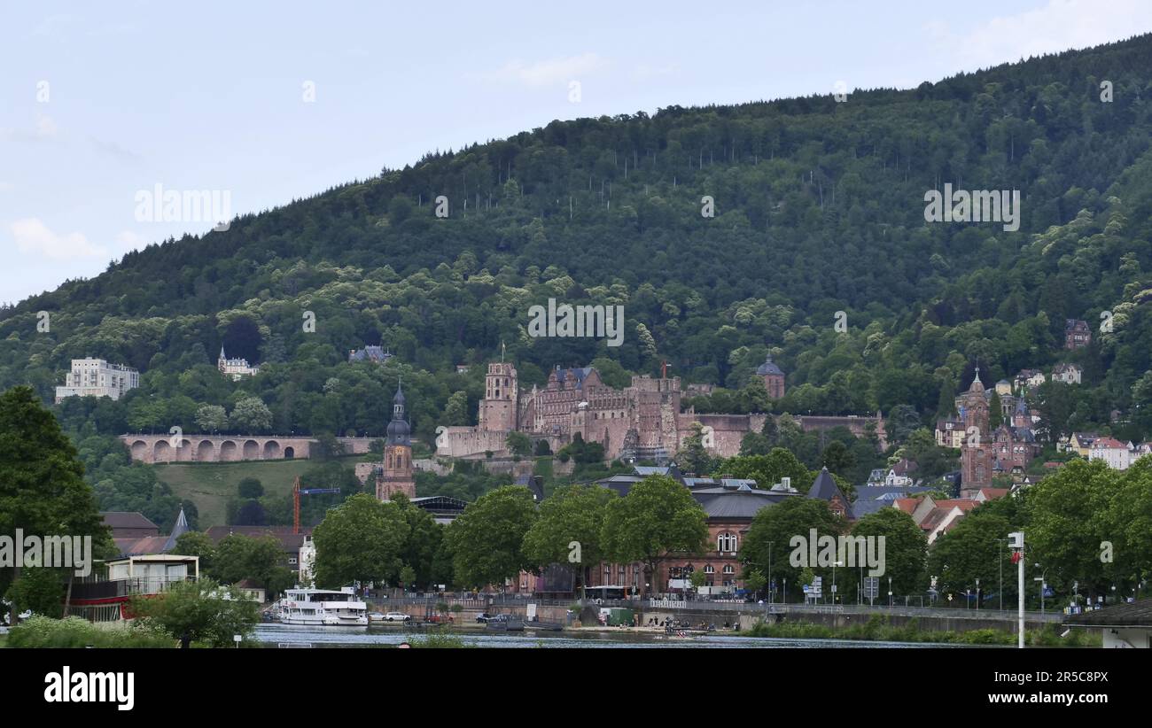 The Heidelberg town in Germany with historical buildings and lush trees ...