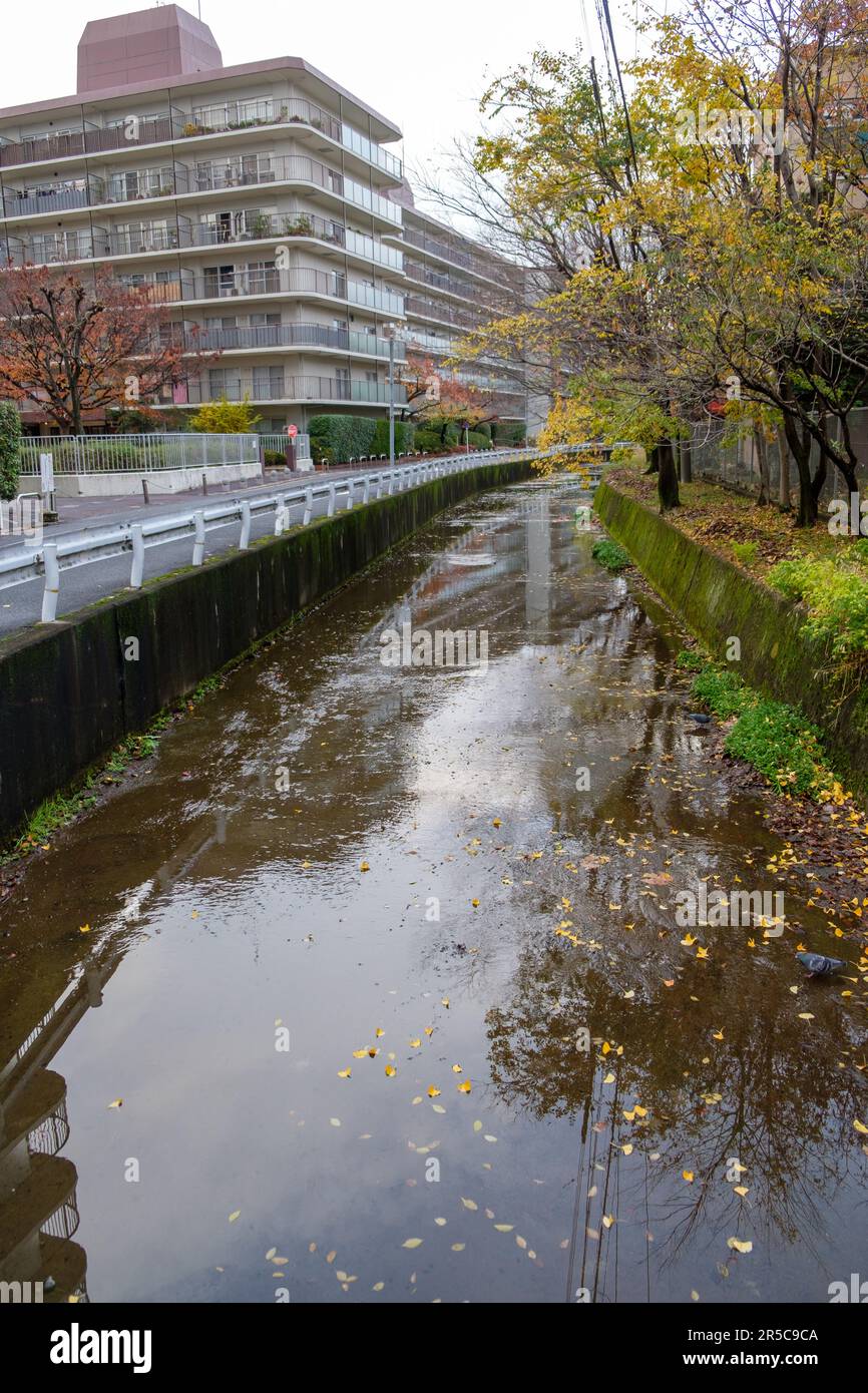 Urban waterway in Kyoto, Japan Stock Photo - Alamy