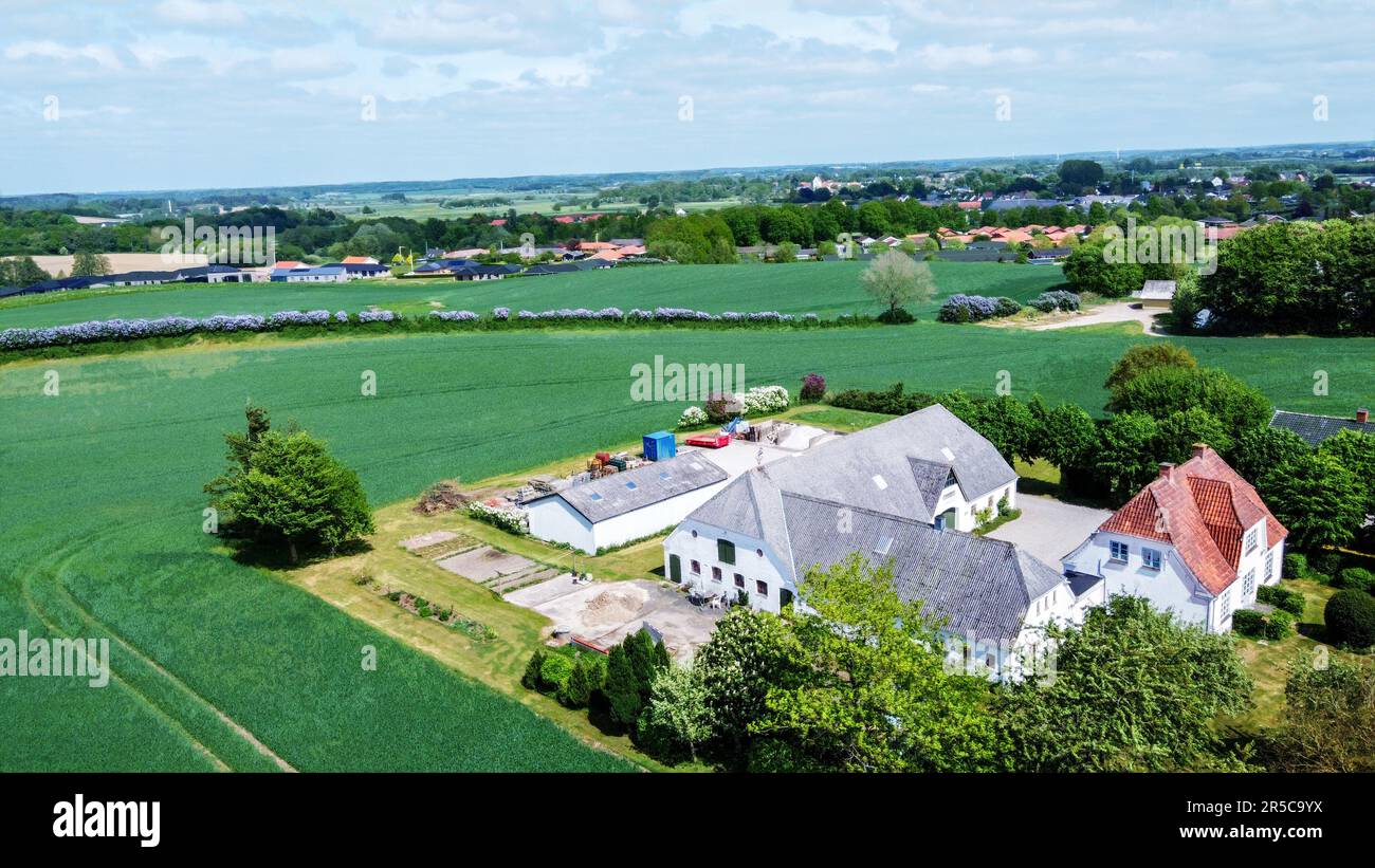 Farm in Denmark with living house , barn and other buildings. Green ...