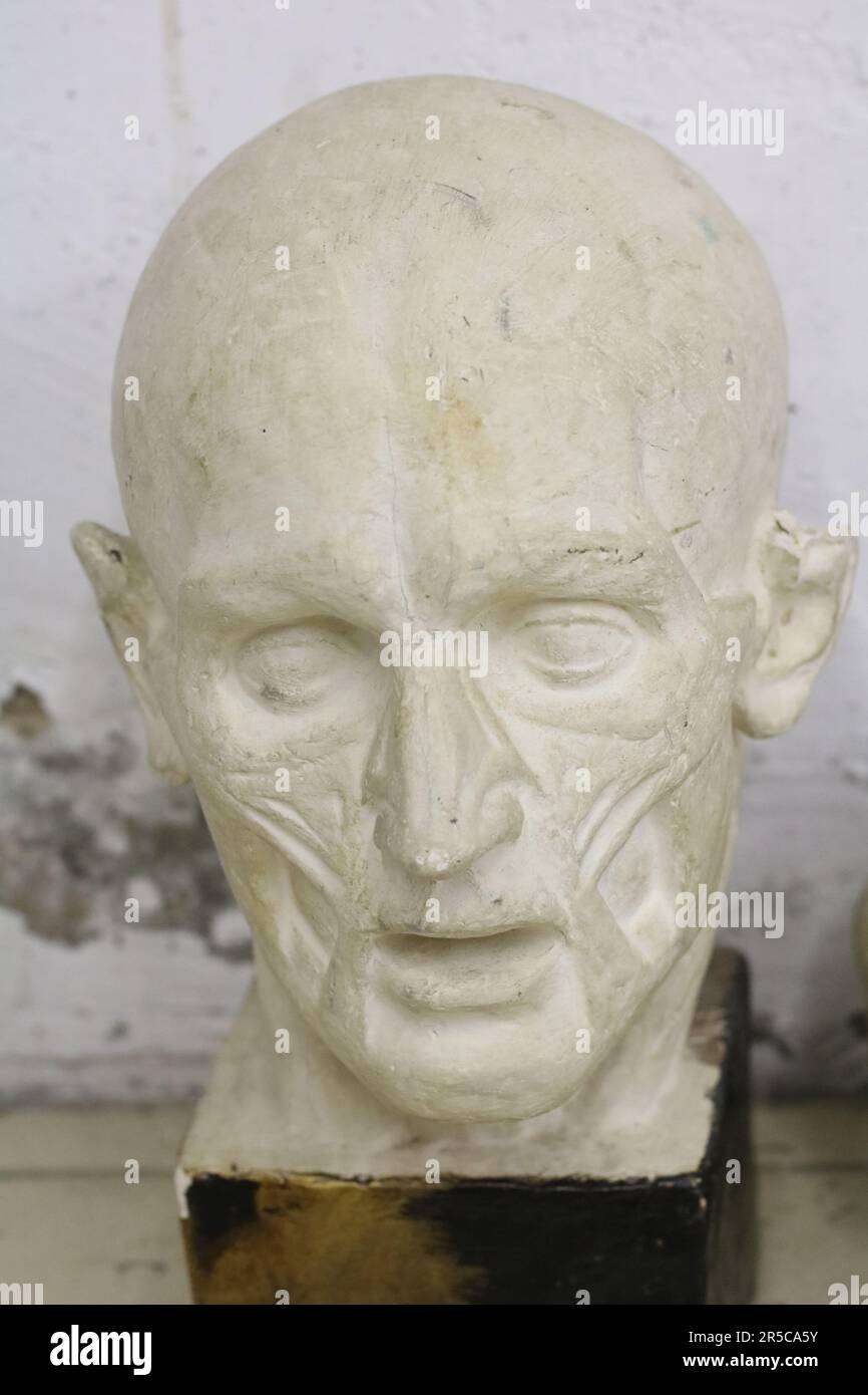 close-up photo of a human head made of plaster Stock Photo - Alamy