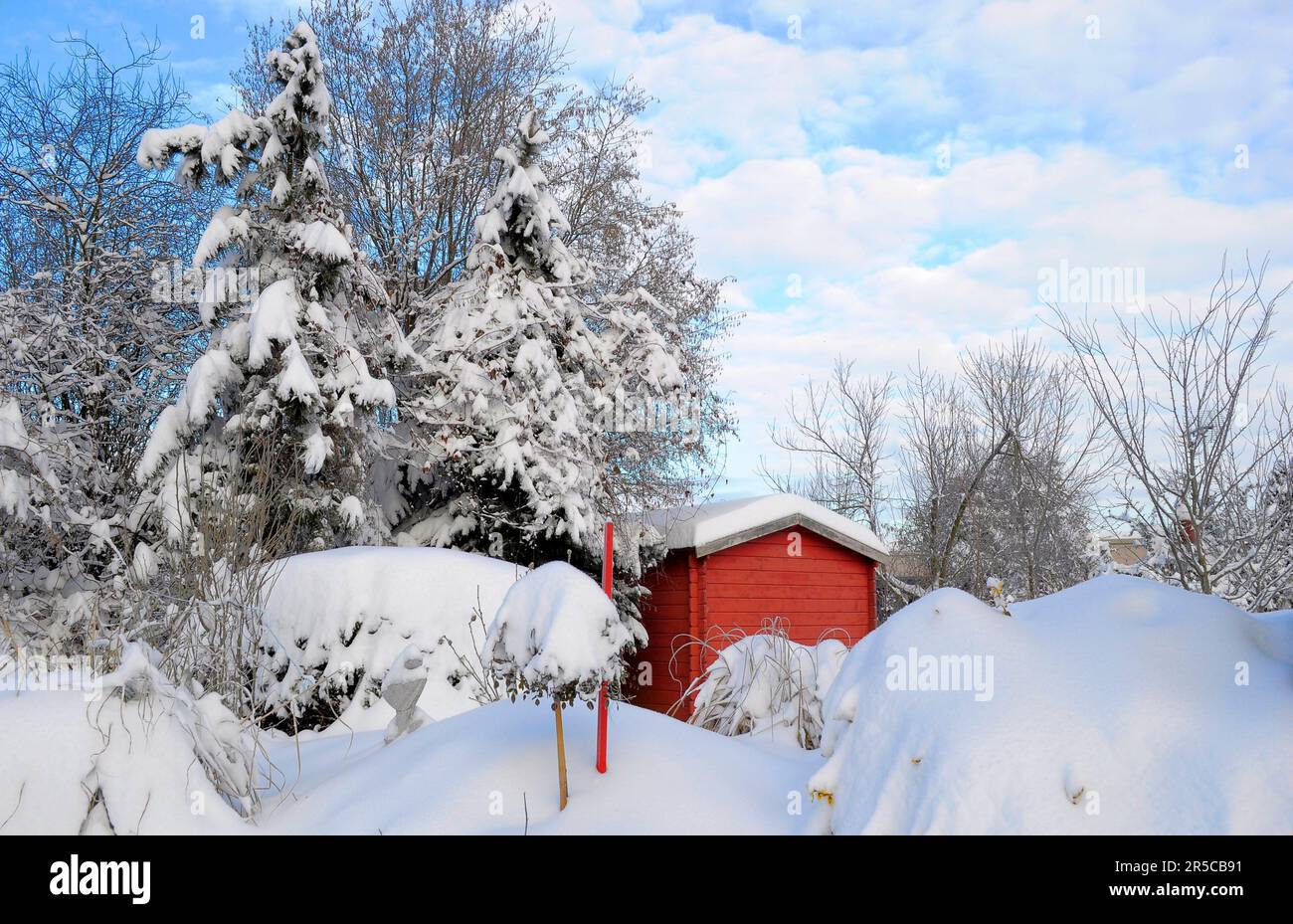 Garden in winter with snow, snow on trees and bushes, garden house with ...