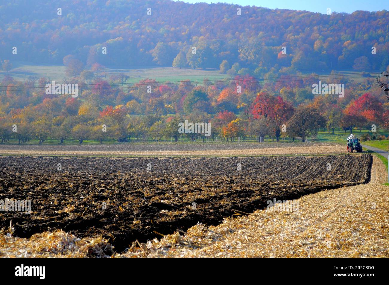 Landscape : Swabian Alb, tractor ploughing in autumn Stock Photo - Alamy