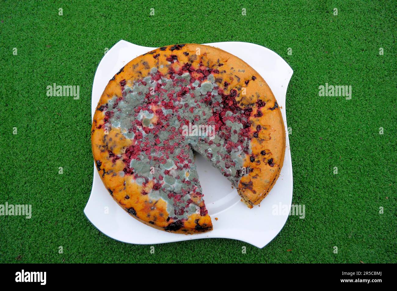 Mould, mouldy johanissberry cake, spoiled food fruit, cake with mould ...