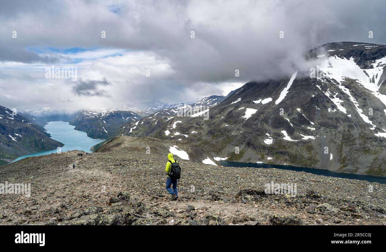 Nordic walk trail hi-res stock photography and images - Alamy