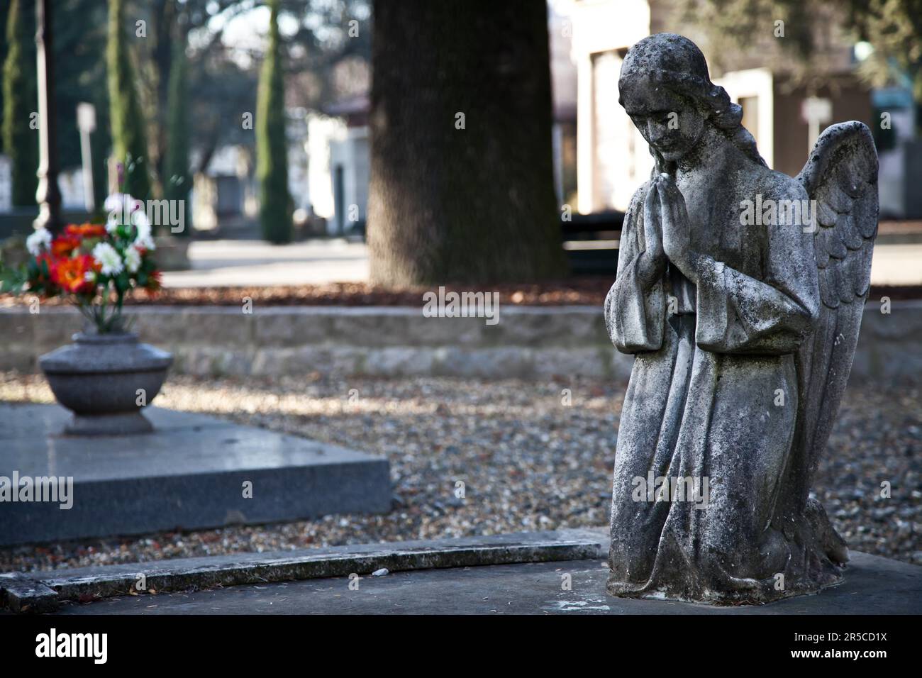 Italian monumental cemetery: collection of two hundreds years old ...
