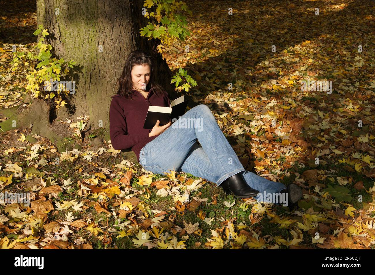Soldier reading book hi-res stock photography and images - Alamy