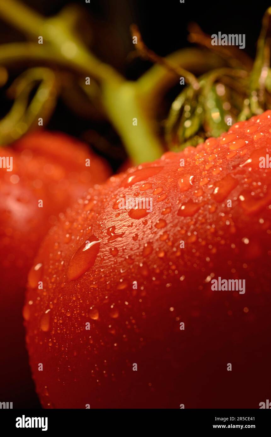 Chilled tomatoes hi-res stock photography and images - Alamy