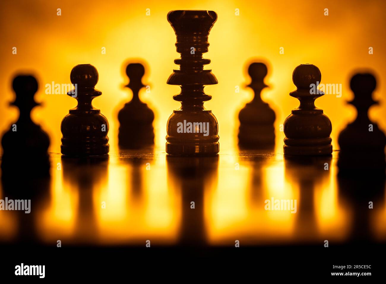 Chess pieces in golden light Stock Photo - Alamy