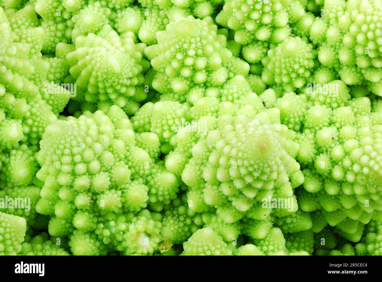 Green romanesco cauliflower hi-res stock photography and images - Alamy