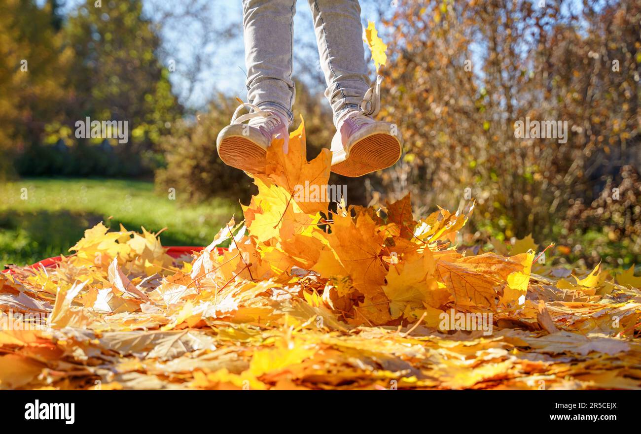 Girl kid jumping on trampoline with autumn leaves. Bright yellow orange ...