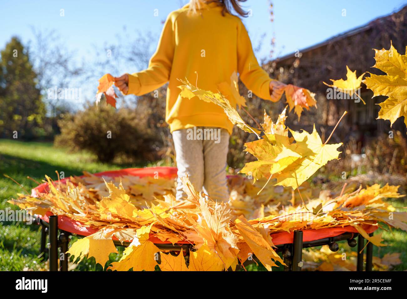 Girl kid jumping on trampoline with autumn leaves. Bright yellow orange ...