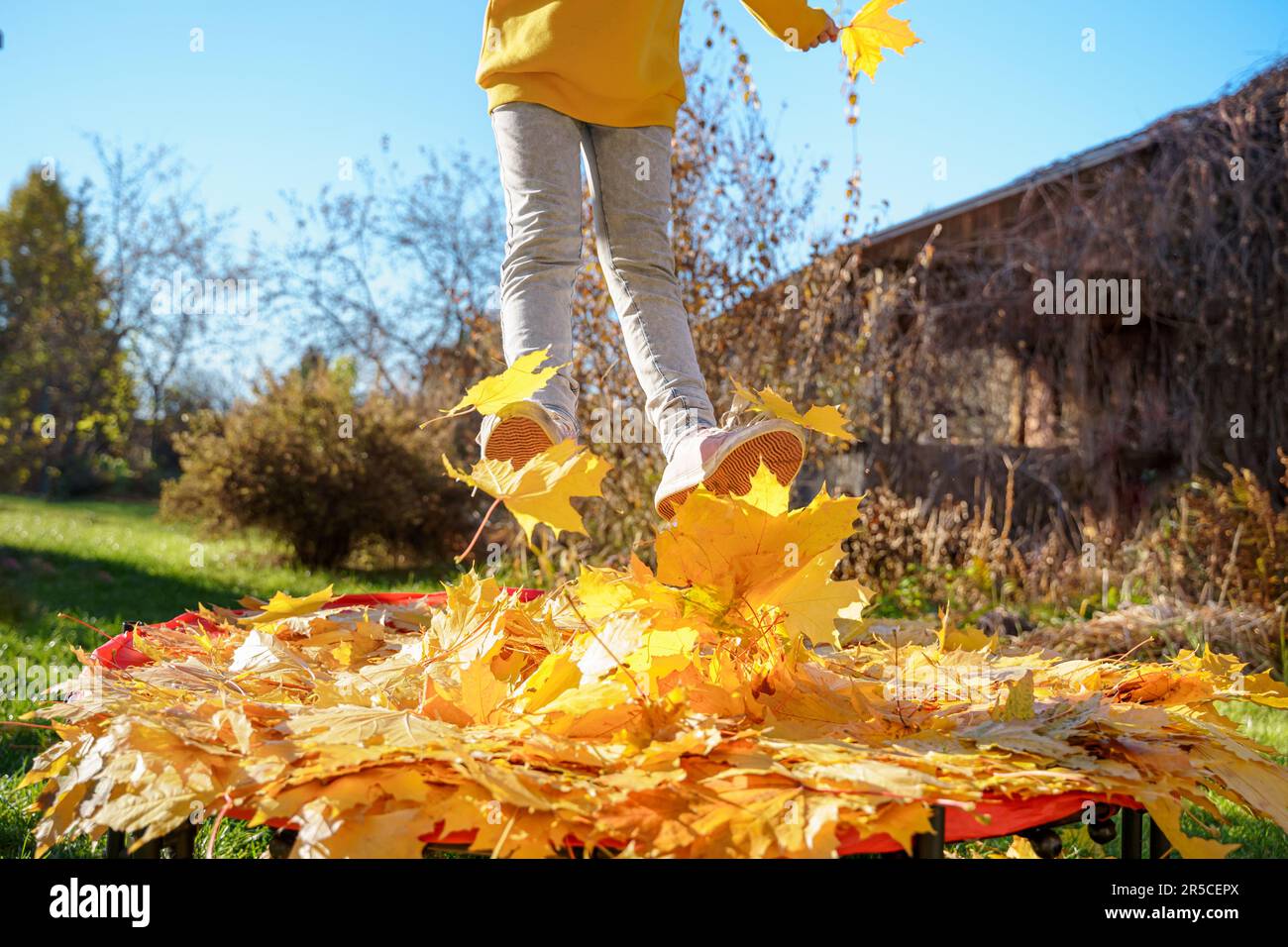 Girl kid jumping on trampoline with autumn leaves. Bright yellow orange ...