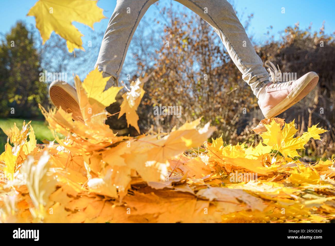 Girl kid jumping on trampoline with autumn leaves. Bright yellow orange ...