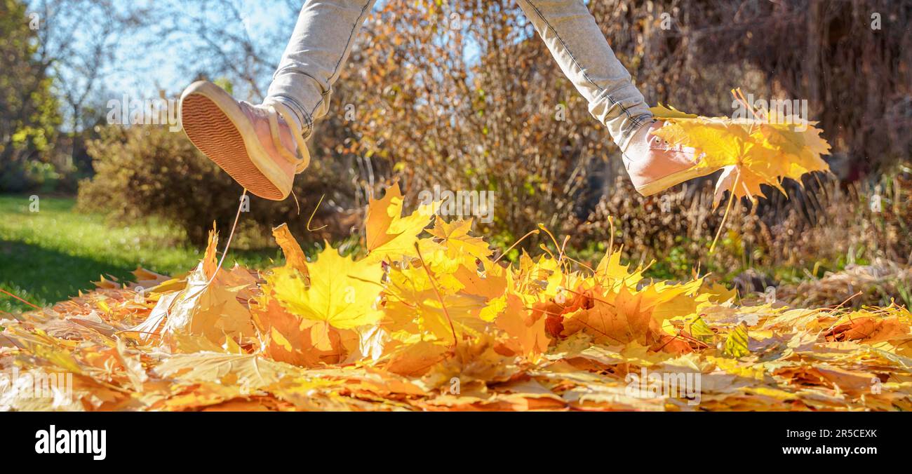 Girl kid jumping on trampoline with autumn leaves. Bright yellow orange ...