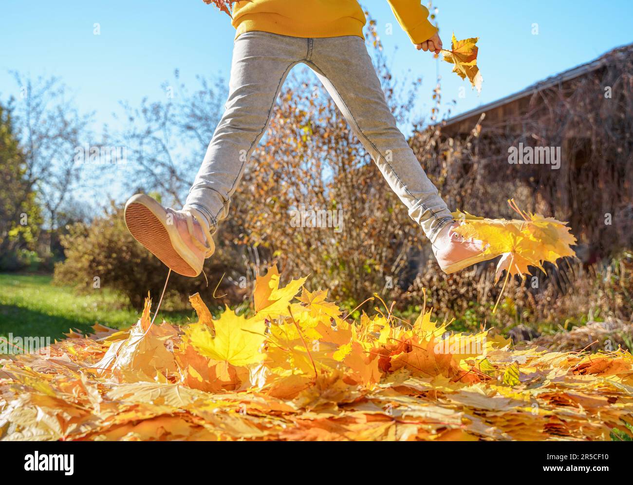 Girl kid jumping on trampoline with autumn leaves. Bright yellow orange ...