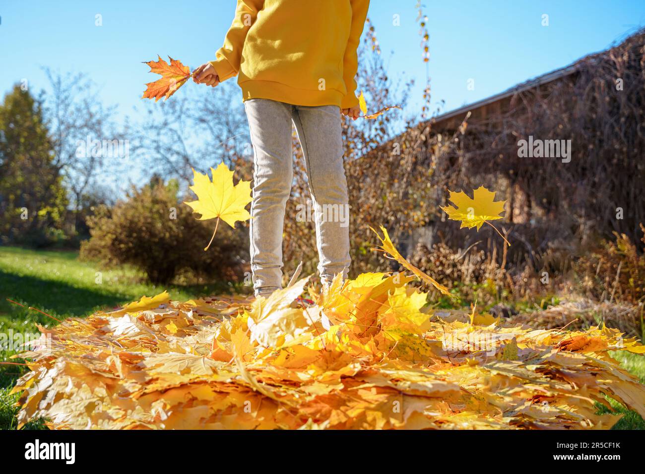 Girl kid jumping on trampoline with autumn leaves. Bright yellow orange ...