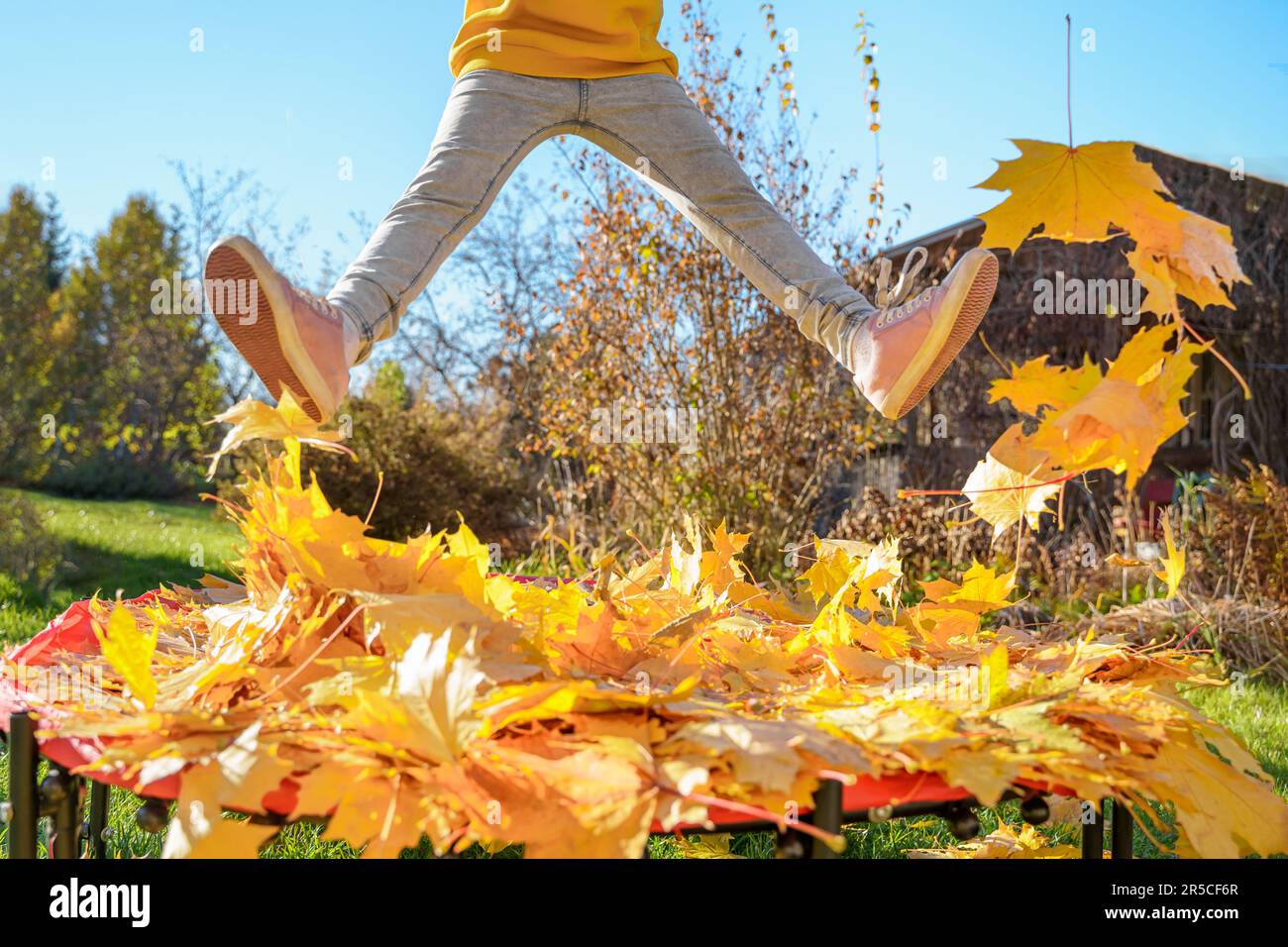 Girl kid jumping on trampoline with autumn leaves. Bright yellow orange ...