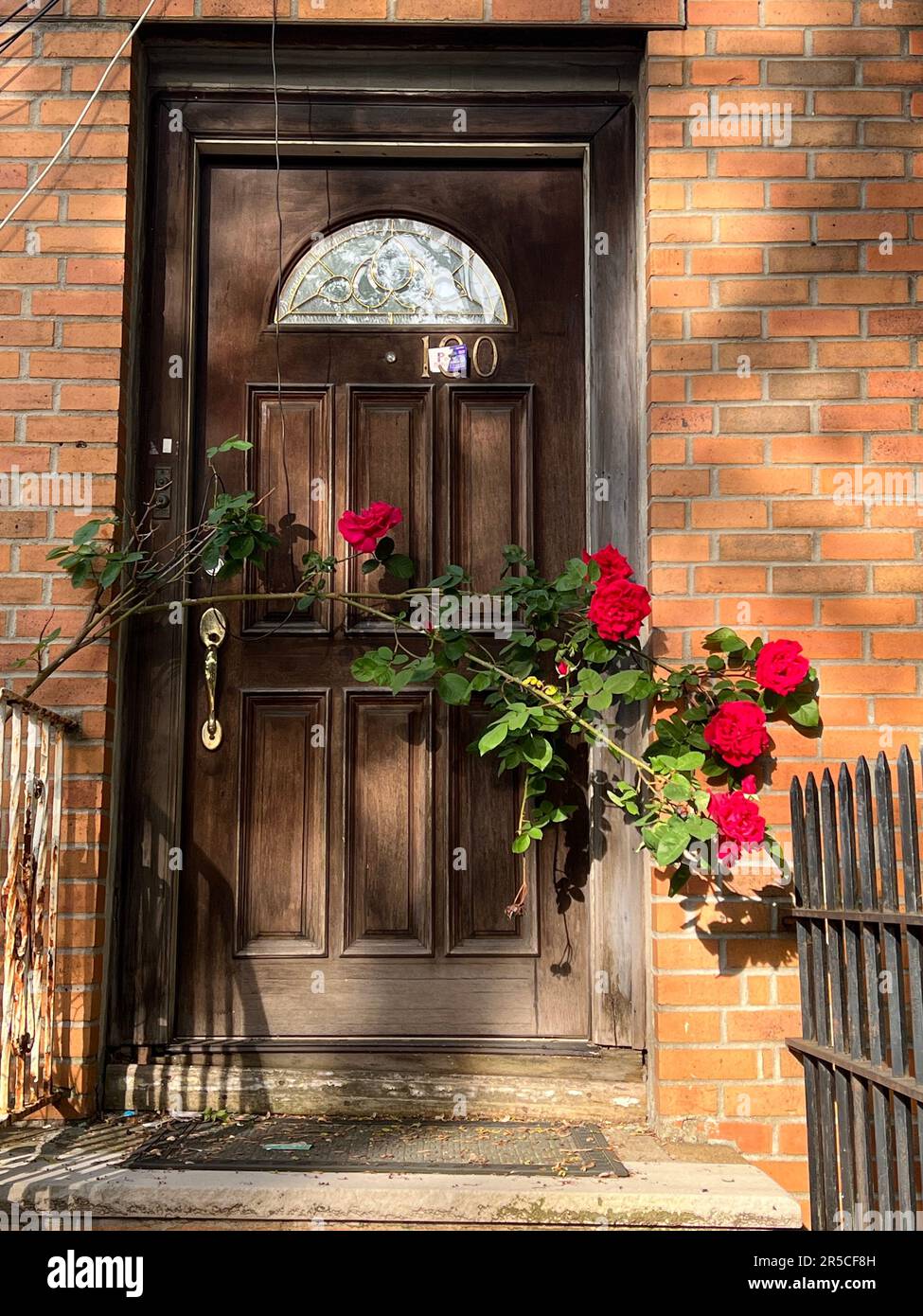 Roses grow over the front door entrance of an unoccupied house in the ...