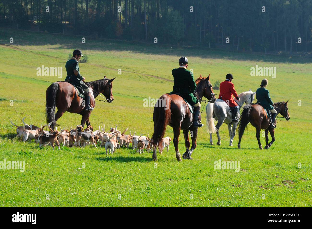 Drag hunt hi-res stock photography and images - Alamy