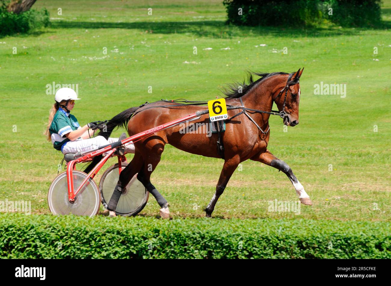 Harness driver hi-res stock photography and images - Alamy
