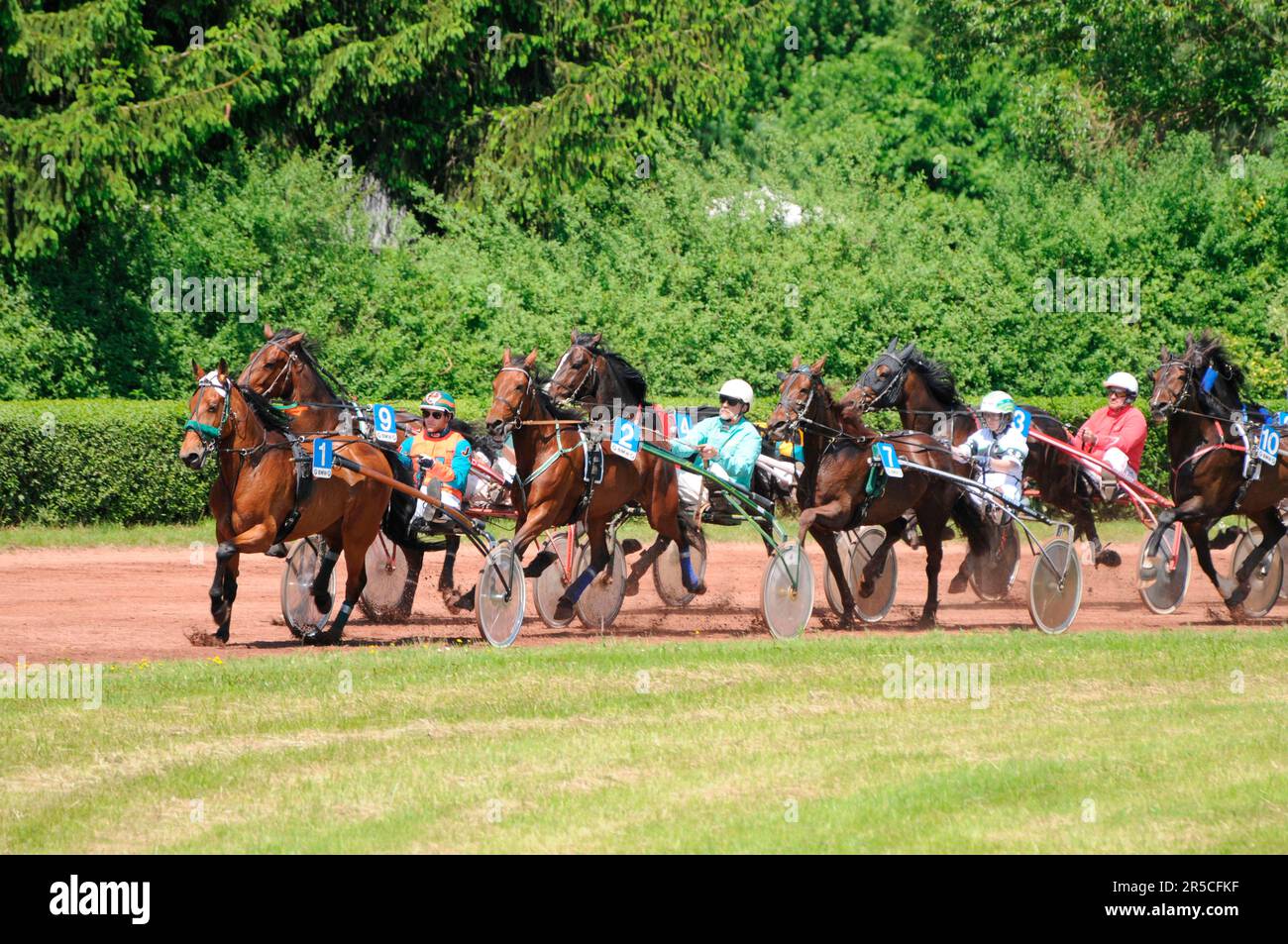 Harness driver hi-res stock photography and images - Alamy