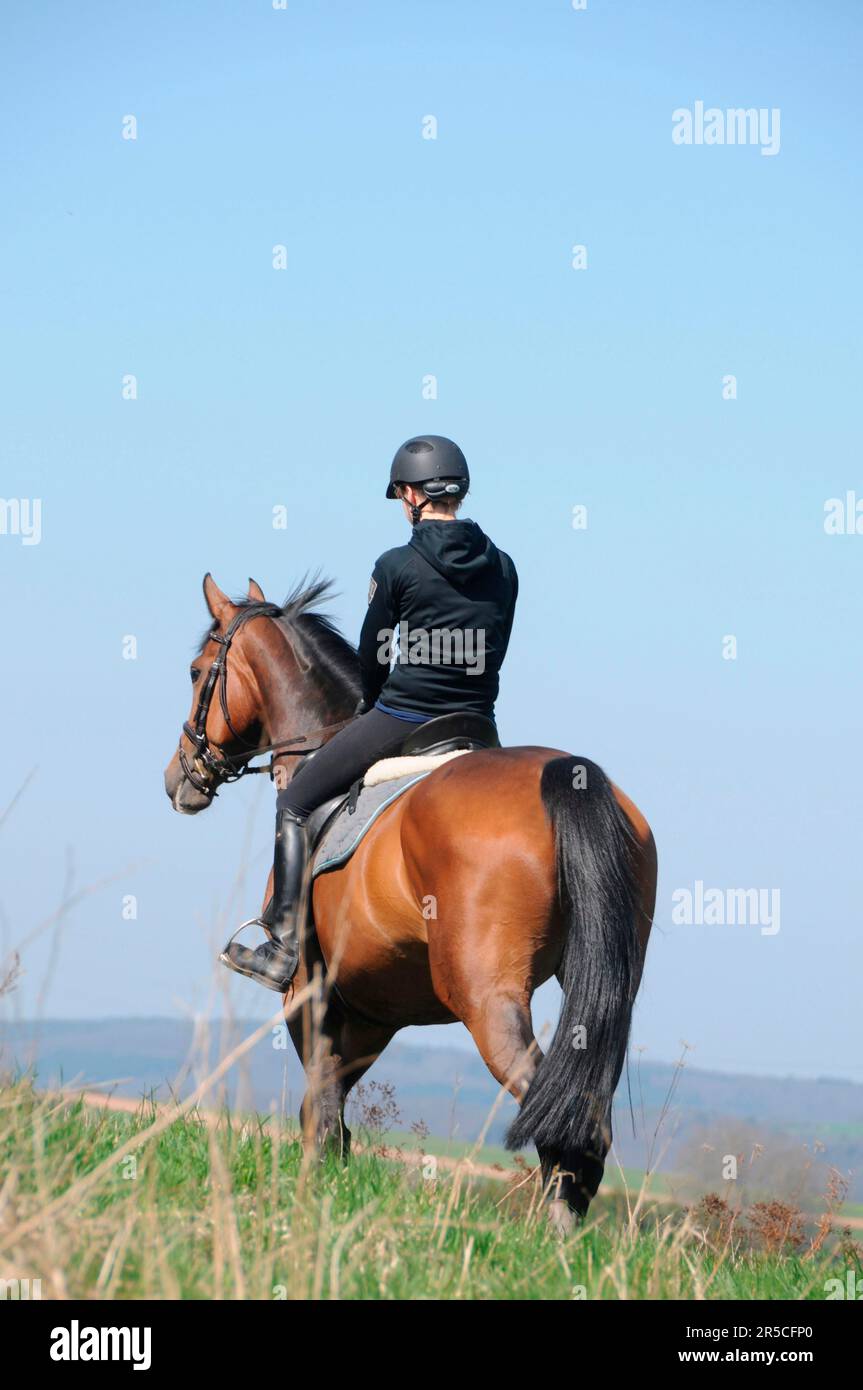 Riding step hi-res stock photography and images - Alamy