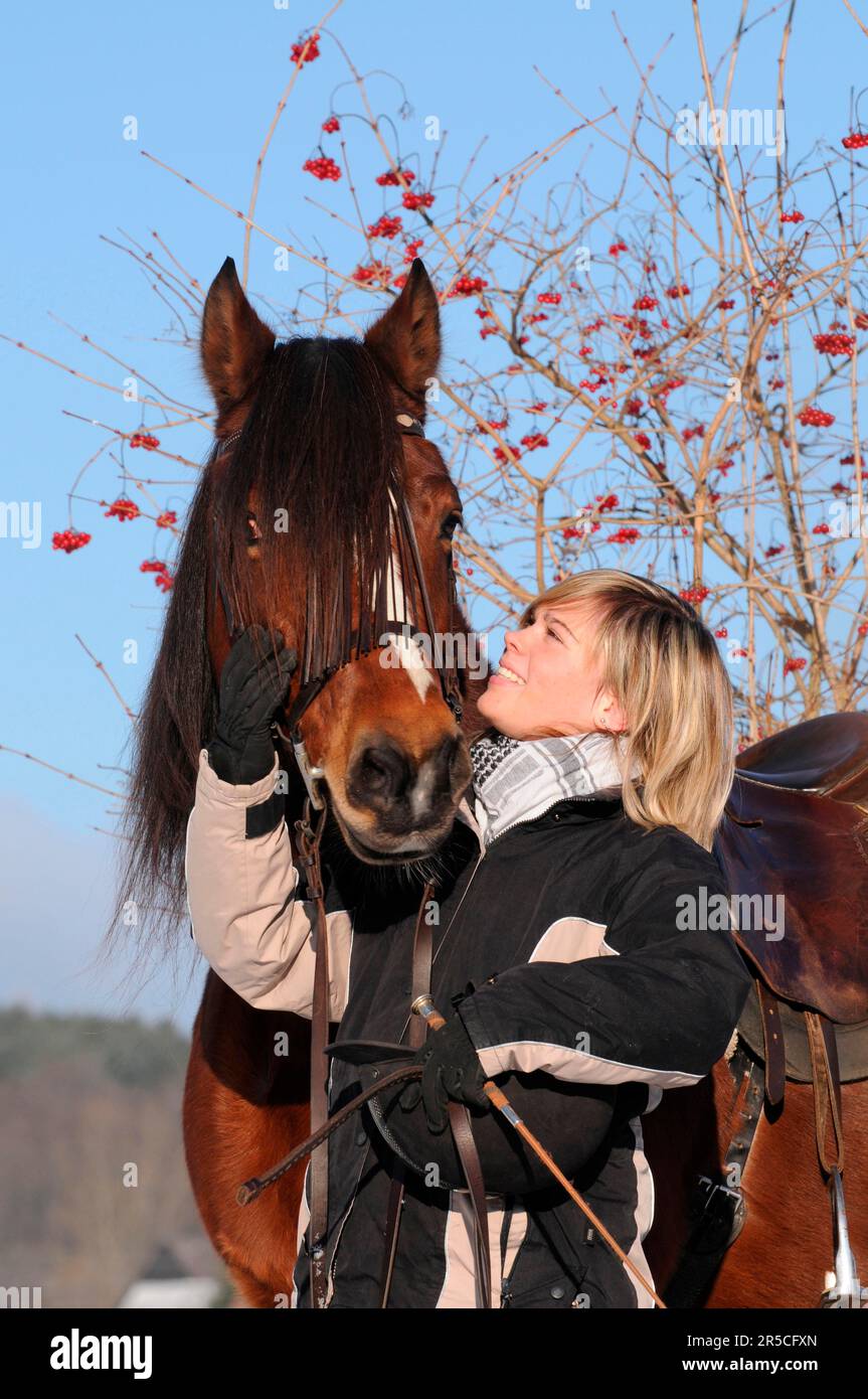 Welsh section d hi-res stock photography and images - Alamy