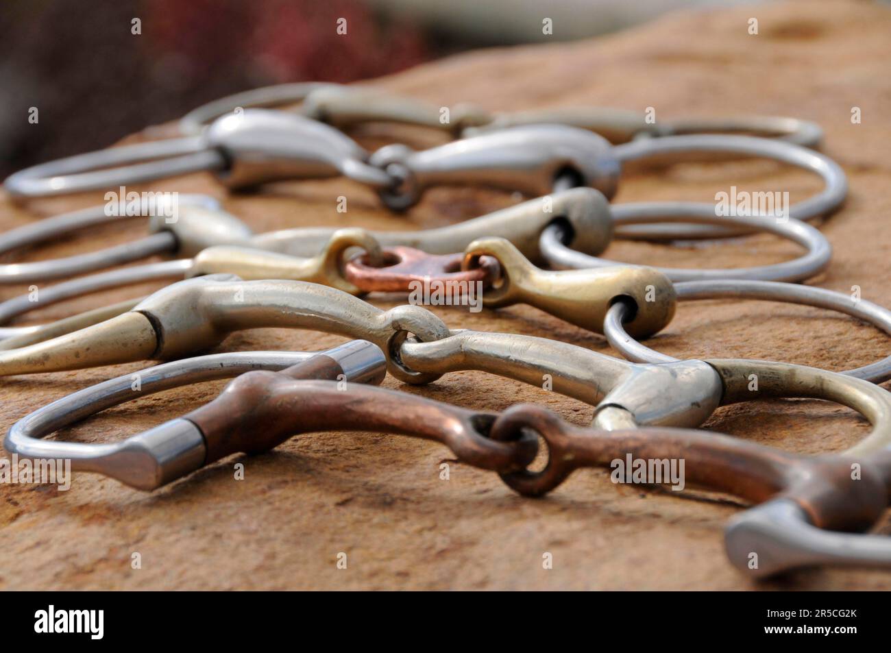 Equestrian bits hi-res stock photography and images - Alamy