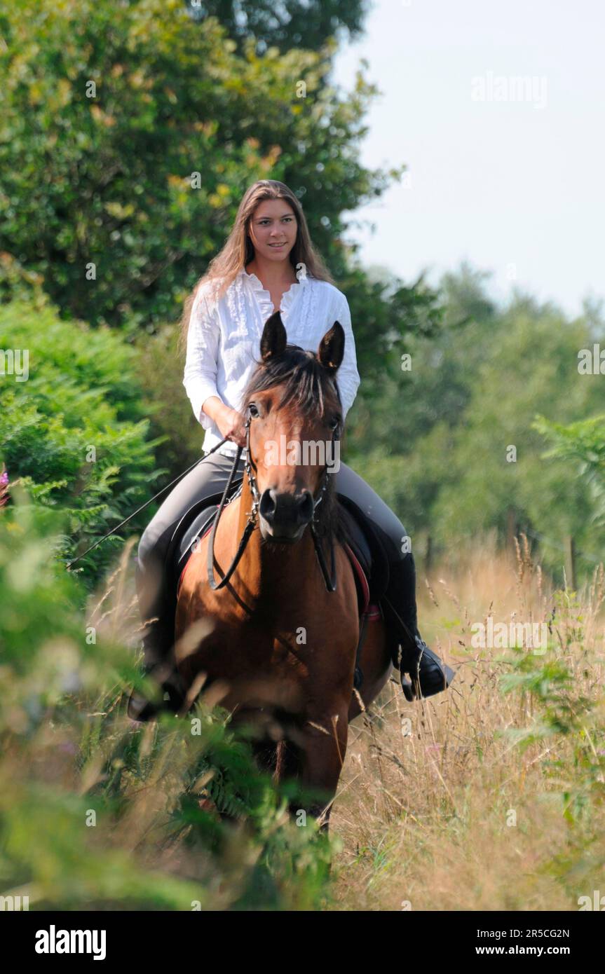 Woman riding horse, cross country, step Stock Photo - Alamy