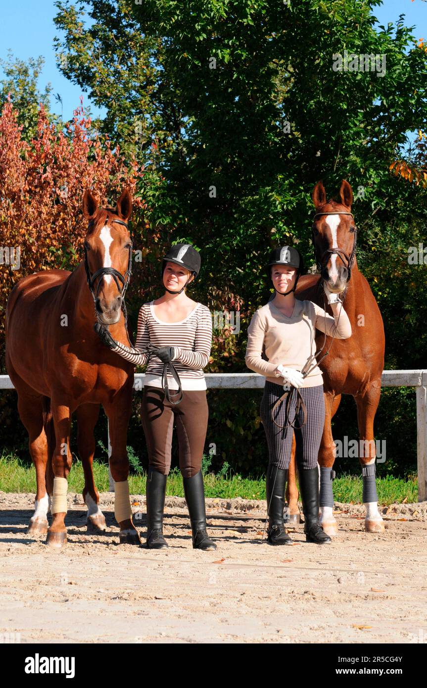 Twins and horses, german warmblood horse, german riding horse, bridle ...