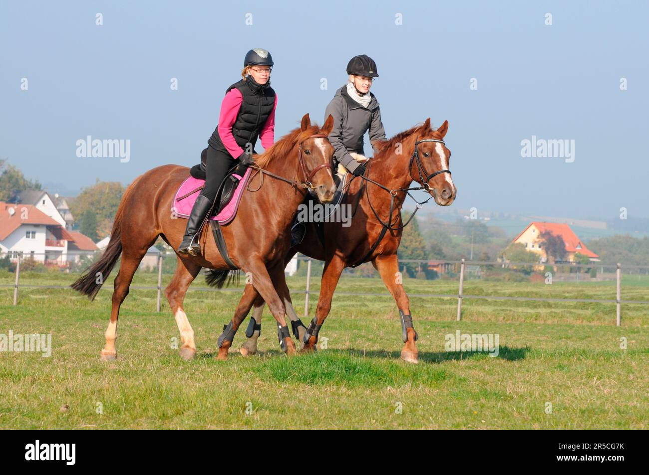 Cross country, warmblood, riding, horsewoman, riding, helmet Stock ...