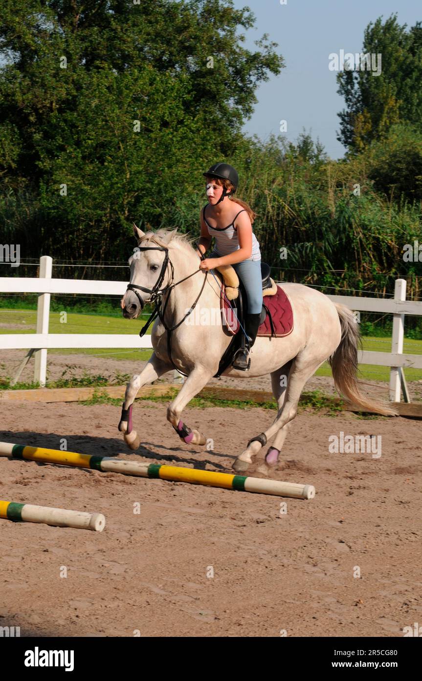 Girl riding german riding pony, white horse, riding helmet, riding ...